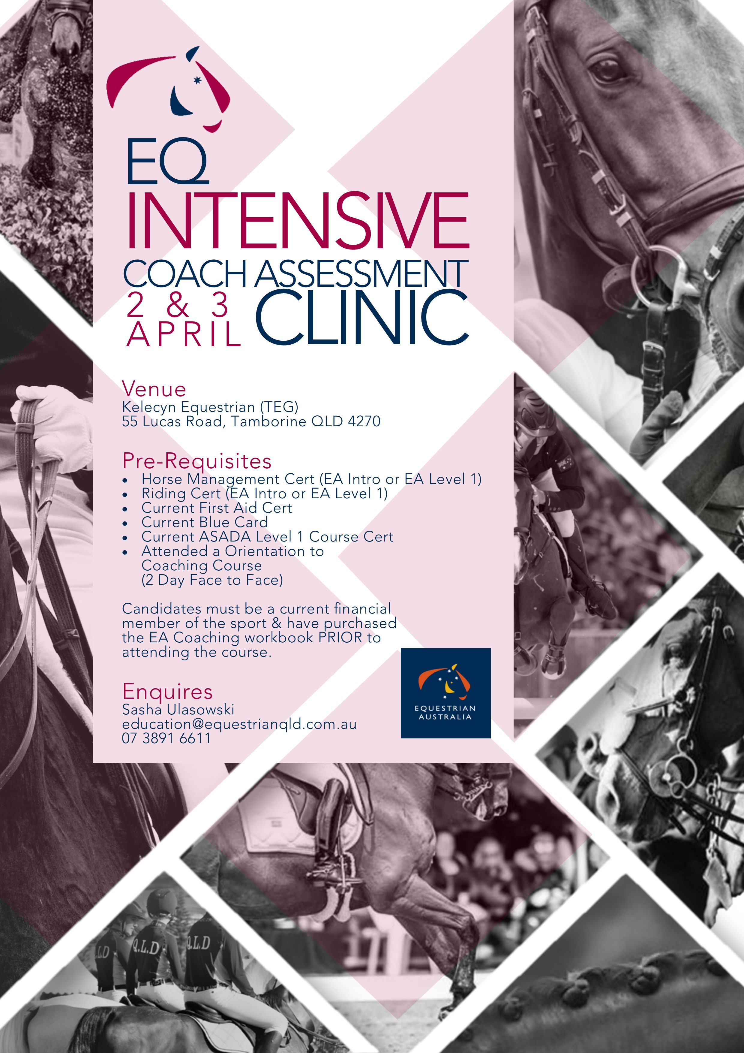 Intensive Coaching Clinic - registrations now open | Equestrian Queensland