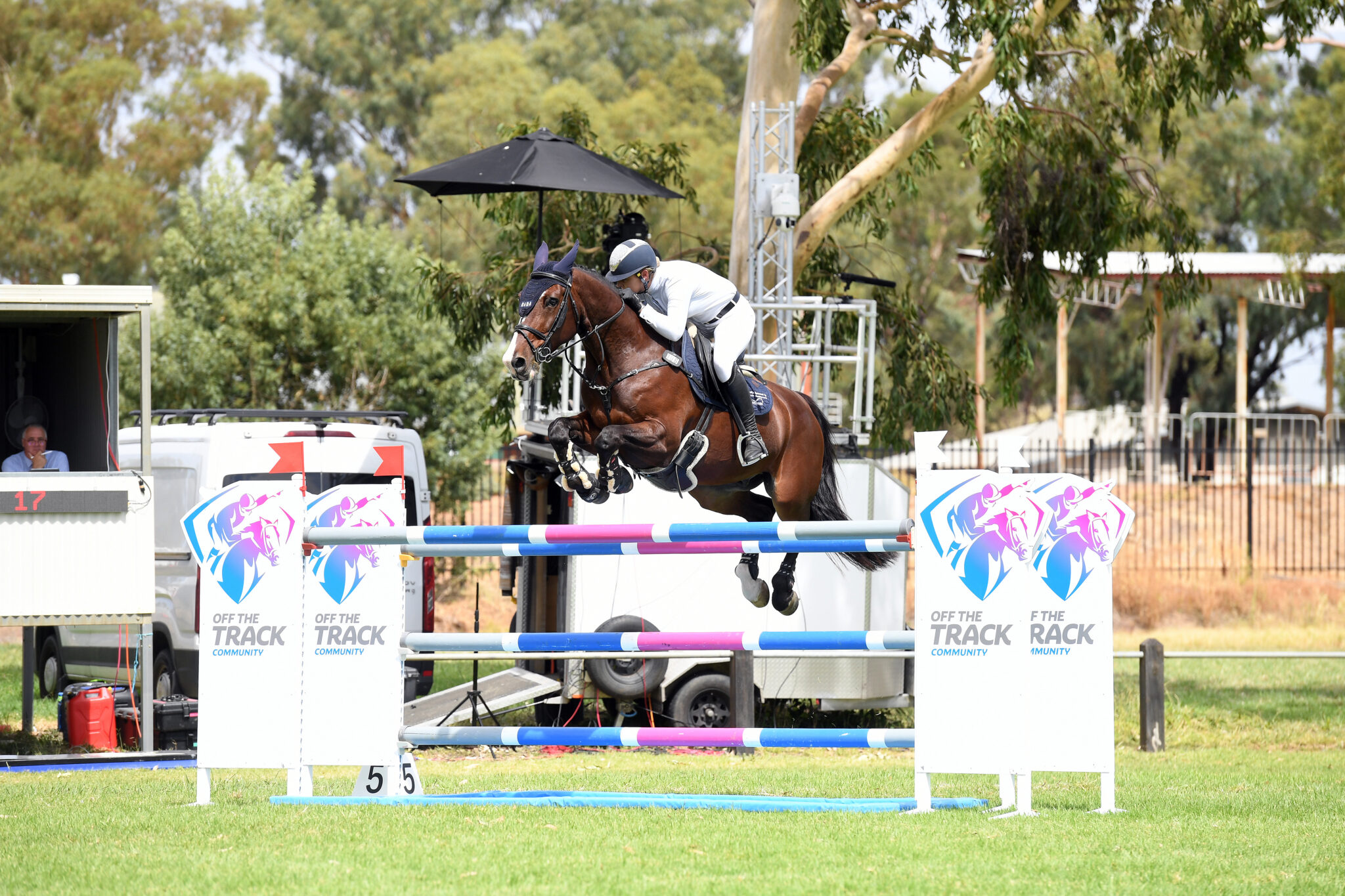 Show Horse Results | Show Horse Queensland
