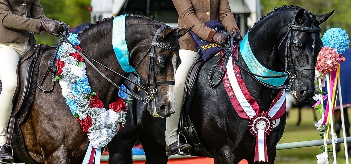 | Equestrian Queensland