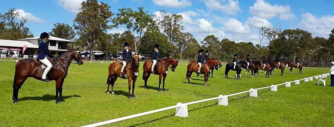 About EQ | Equestrian Queensland