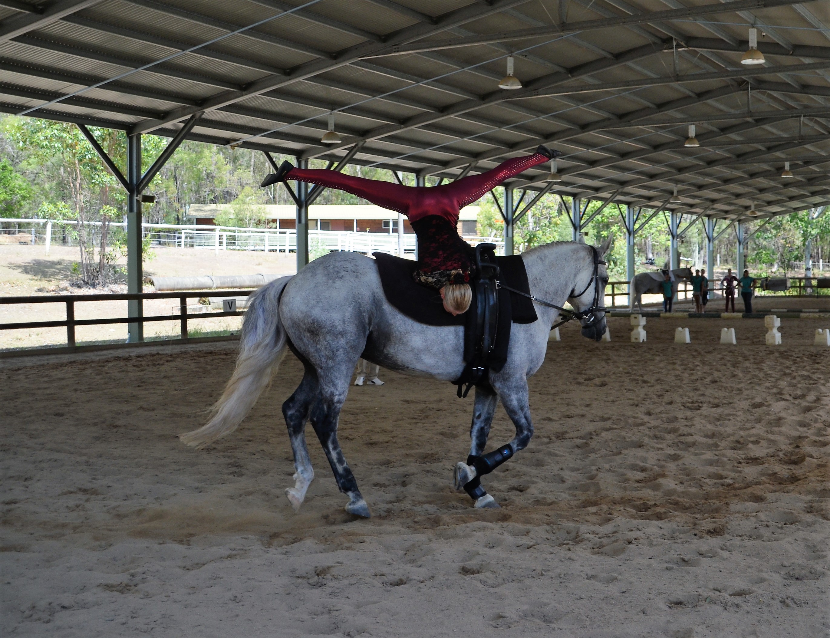 Fassifern Vaulting Ribbon Day Wrap Up | Equestrian Queensland